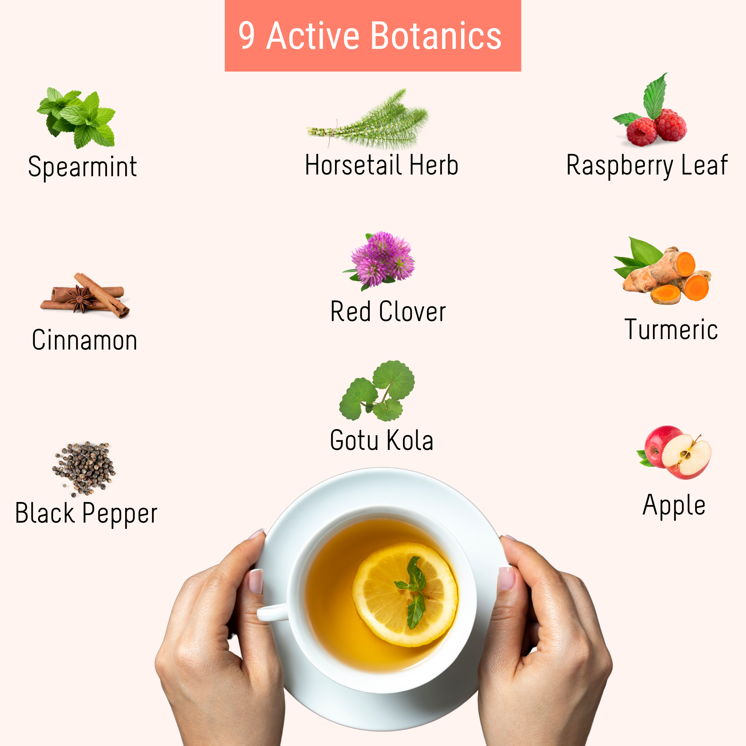 Best Herbal Tea Combo | Hibiscus Tea & Tea for Strong Bones – OhCha.in