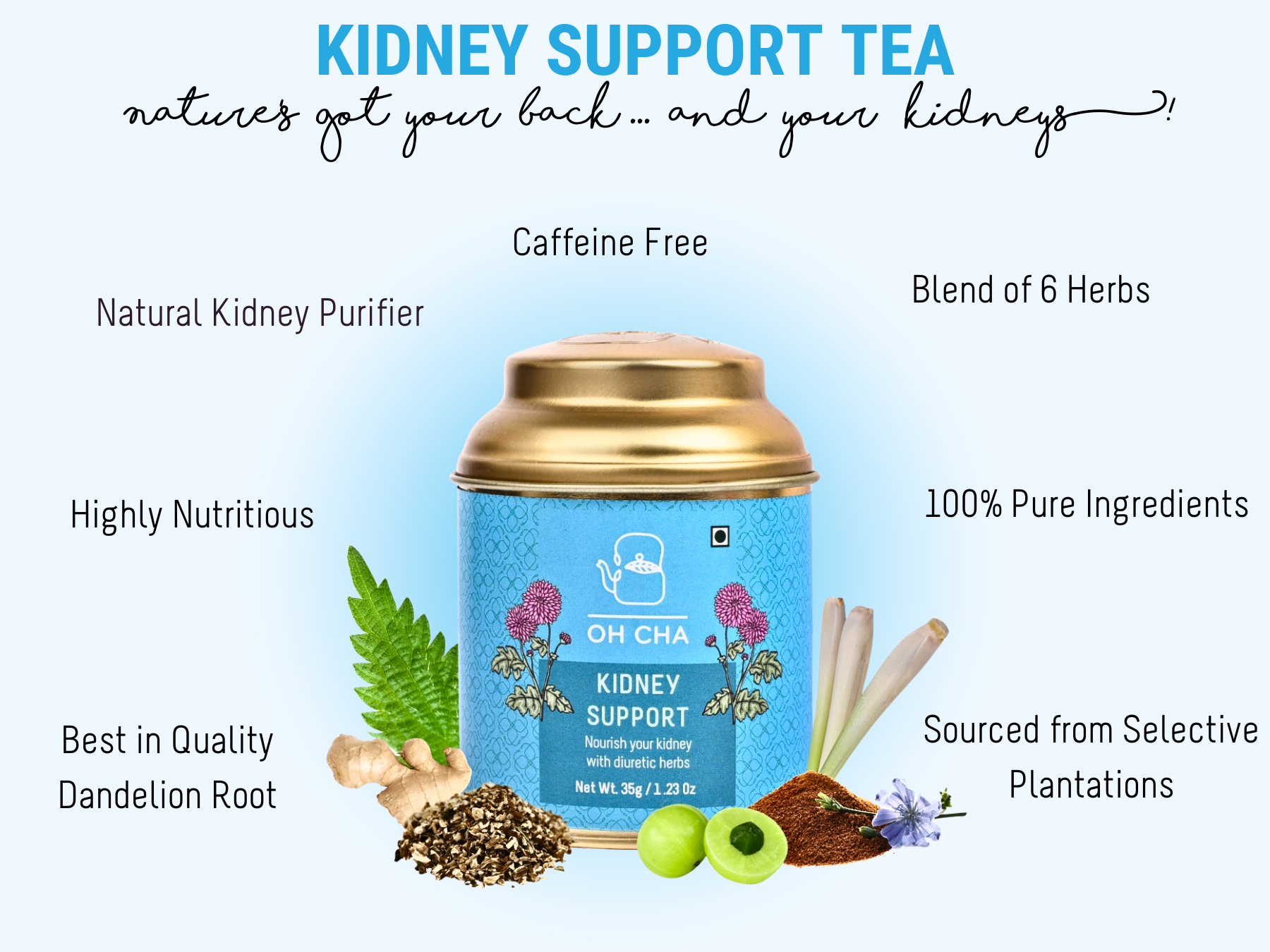 Kidney Support Tea – OhCha.in